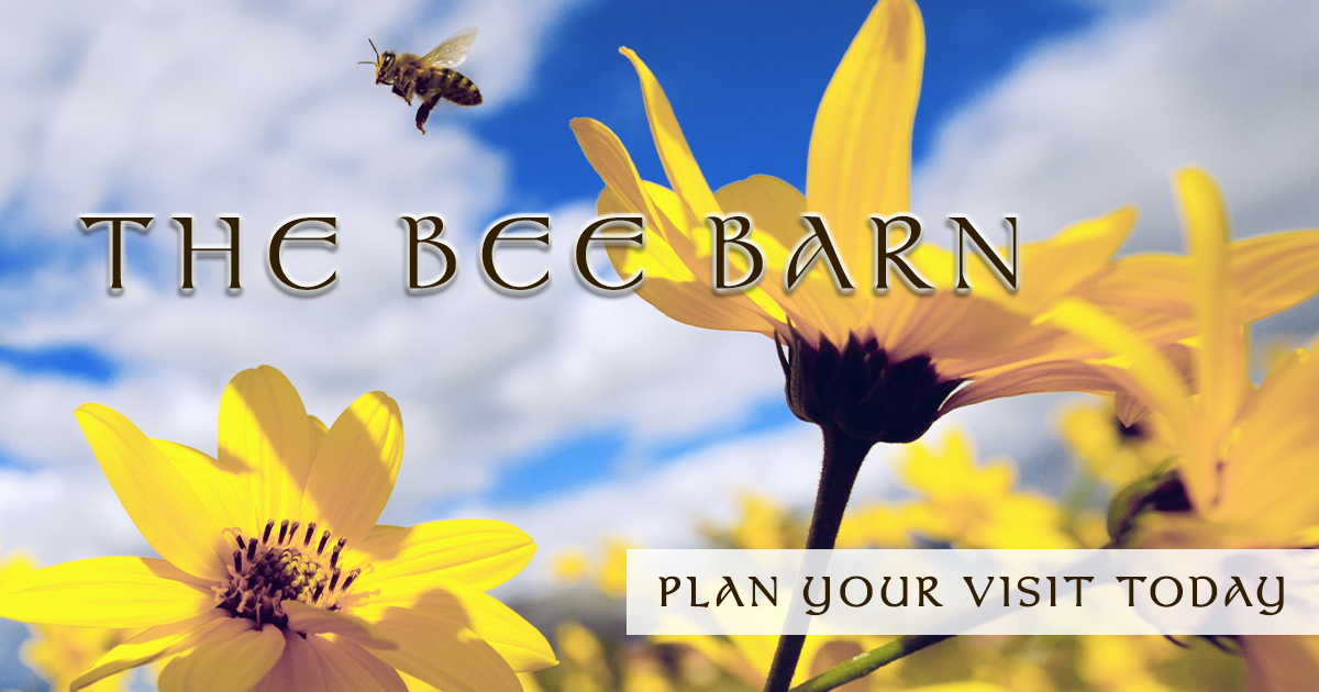 Discover the Art of Beekeeping at The Bee Barn, Lough Sheelin, Co Cavan
